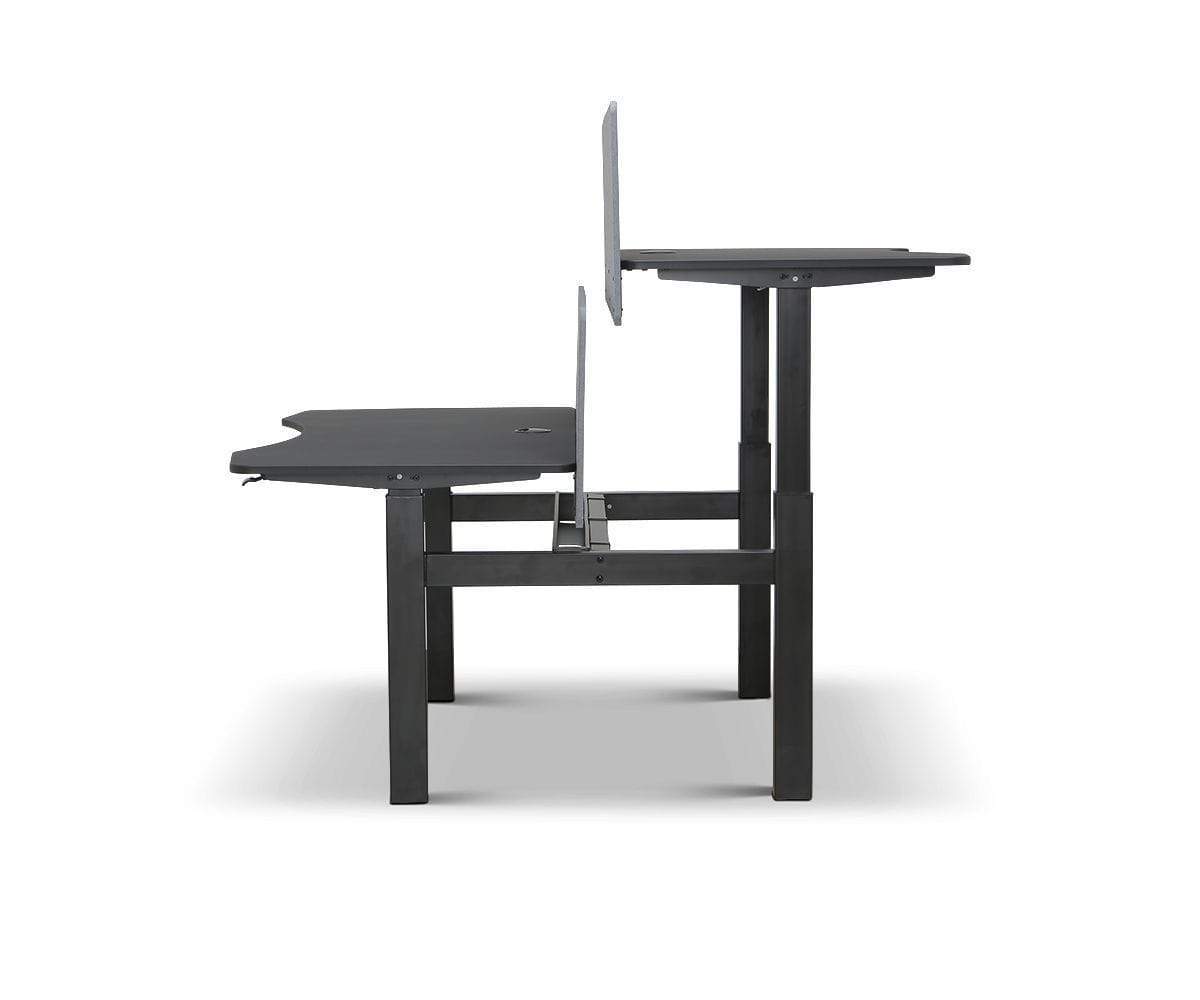 Amli Double Adjustable Standing Desk – tula2v1.com